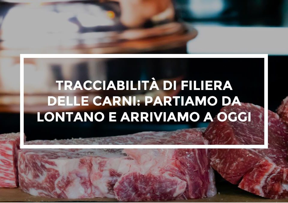 Carne bovina: caratteristiche, proprietà e come scegliere i tagli migliori